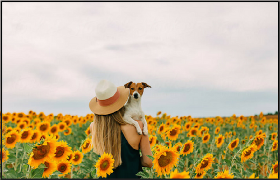 Maria's Sunday Paper: Making Time for What You Value Most