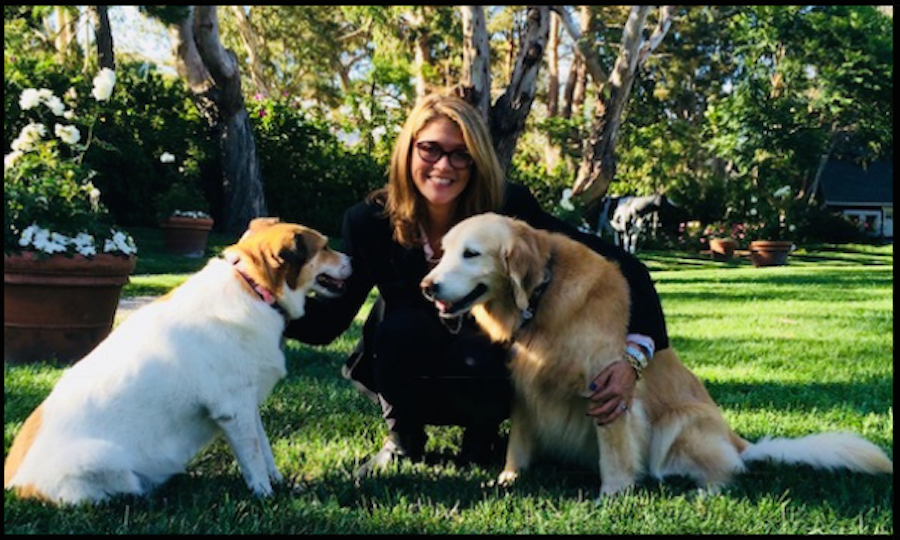 Happy the Golden Jam Spreads Compassion and Medical Care to Shelter Dogs