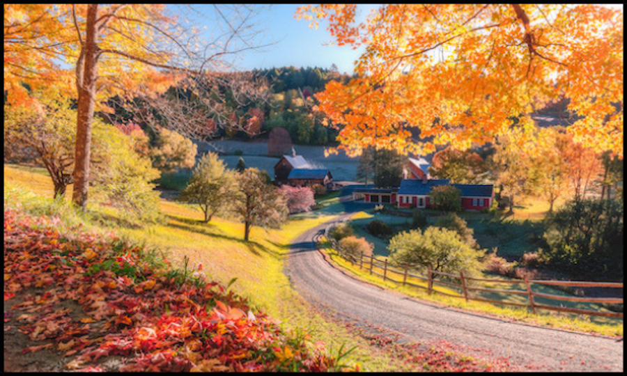 Maria Shriver's Sunday Paper: Learning to Find Your Voice